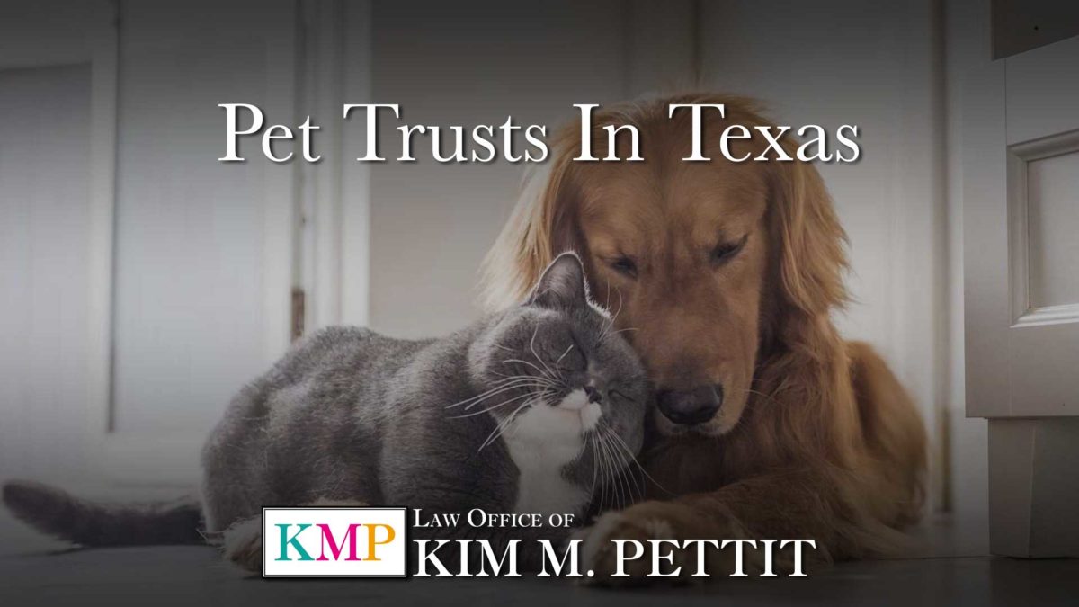 Pet Trusts in Texas - Law Offices of Kim M. Pettit